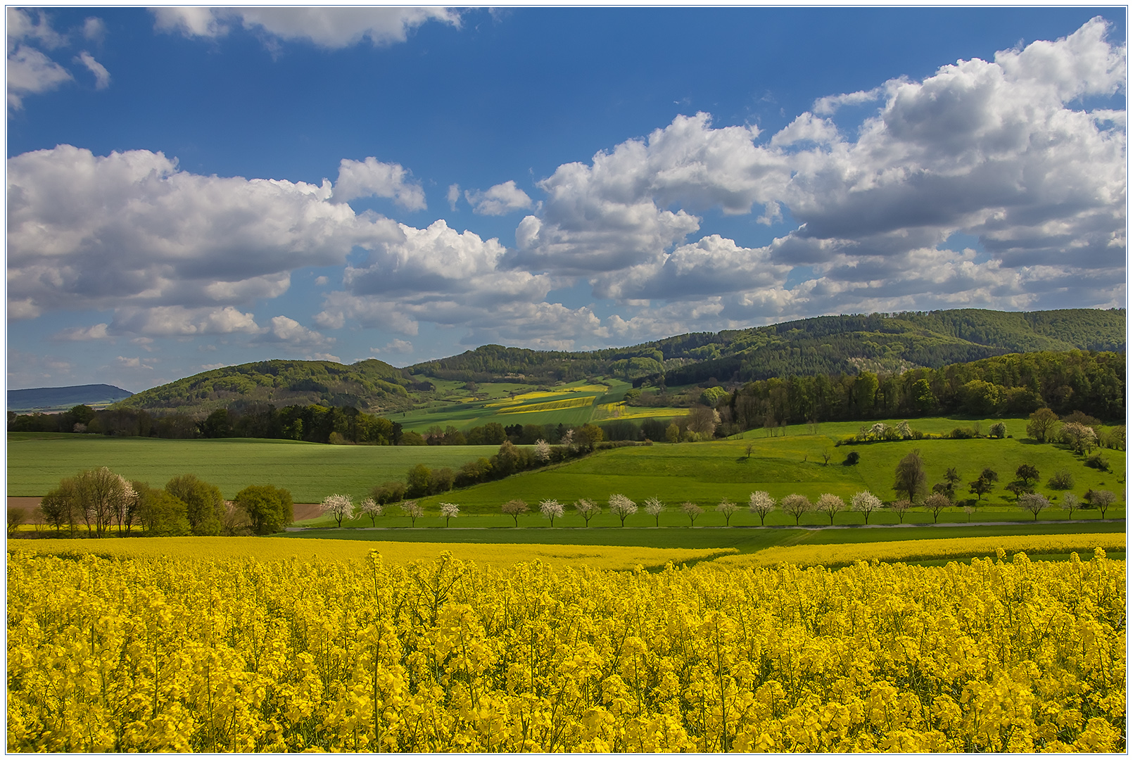 Froh zu sein... Foto & Bild | burgberg, frühling, landschaft Bilder auf ...