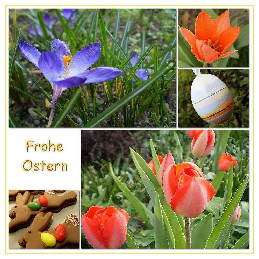 Frohe Ostern Foto & Bild | karten und kalender, osterkarten, spezial ...