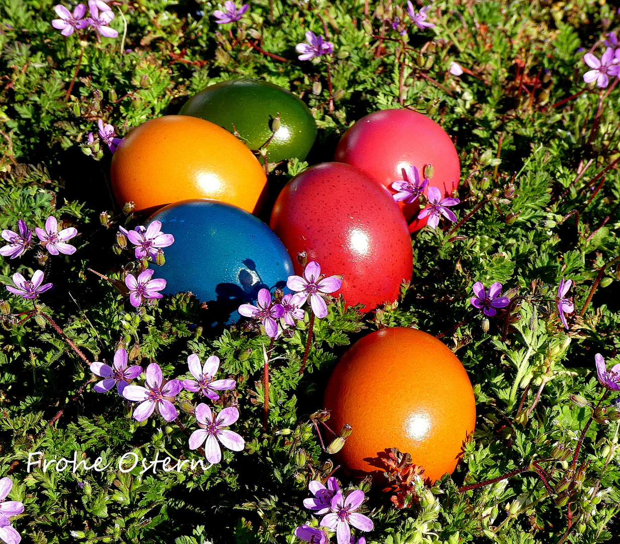 Frohe Ostern Foto And Bild Gratulation Und Feiertage Wünsche Allgemein