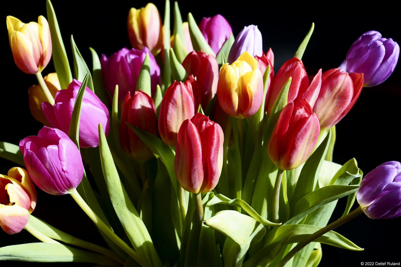 Frohe Ostern Foto And Bild Kunstfotografie And Kultur Bräuche Ostern