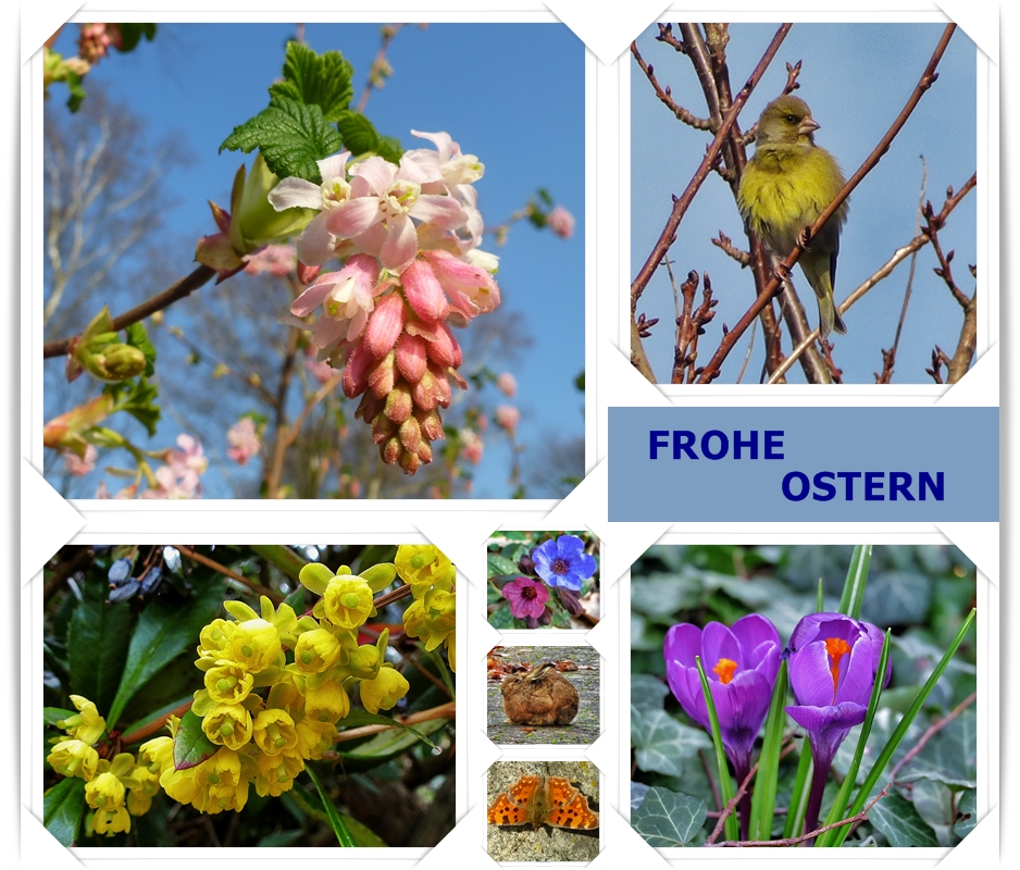 Frohe Ostern Foto And Bild Kunstfotografie And Kultur Bräuche Ostern