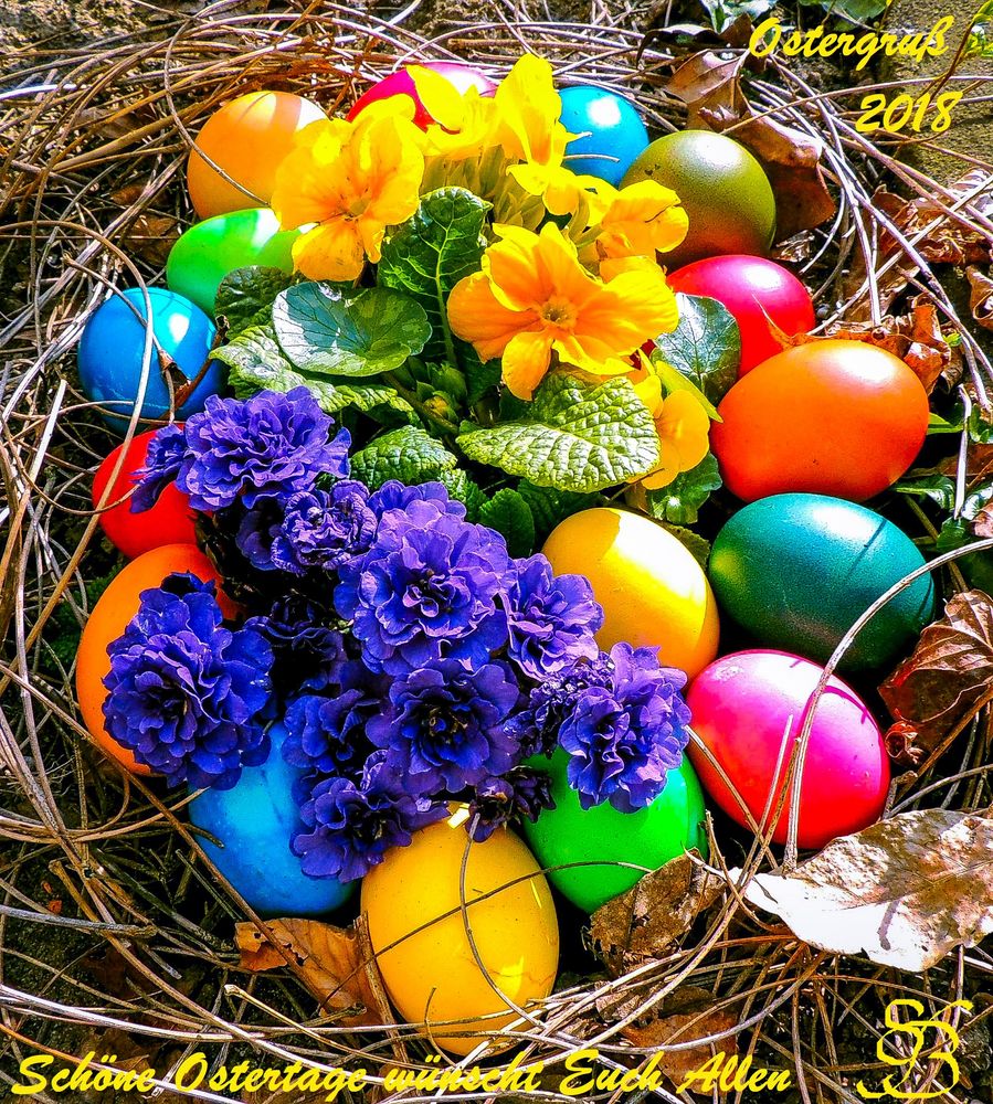 Frohe Ostern Foto & Bild | stillleben, karten und kalender, osterkarten ...