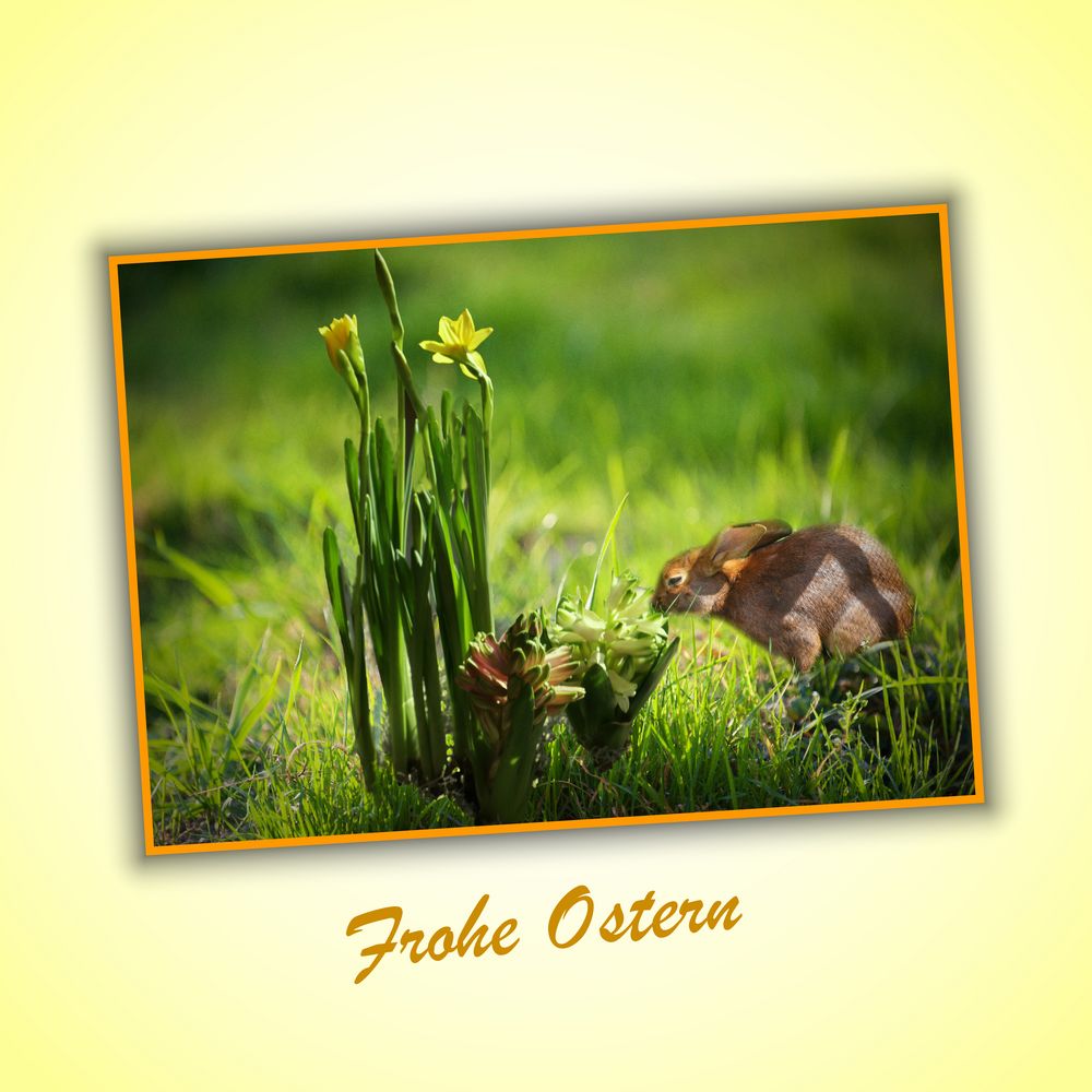 Frohe Ostern Foto And Bild Kunstfotografie And Kultur Bräuche Ostern