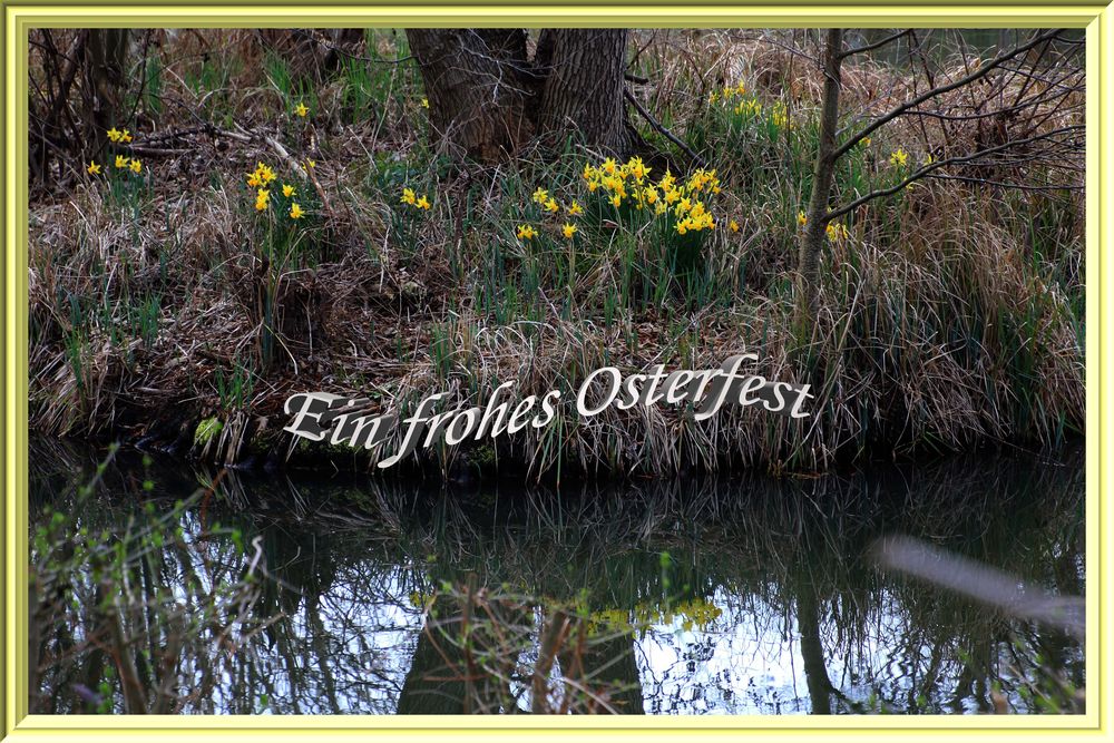 Frohe Ostern Foto And Bild Landschaft Kunstfotografie And Kultur