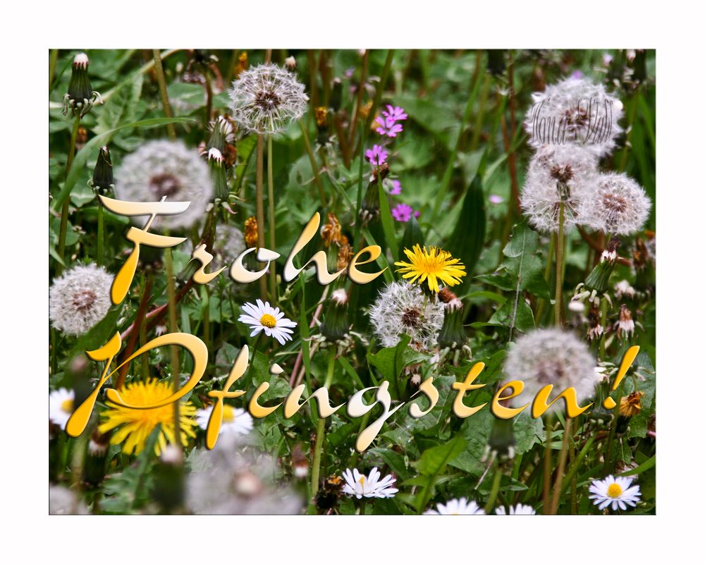 Frohe Pfingsten, Foto & Bild | karten und kalender, festtage, anlässe ...