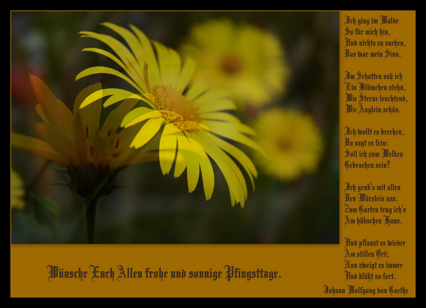 Frohe Pfingsten Foto & Bild | gratulation und feiertage, wünsche ...