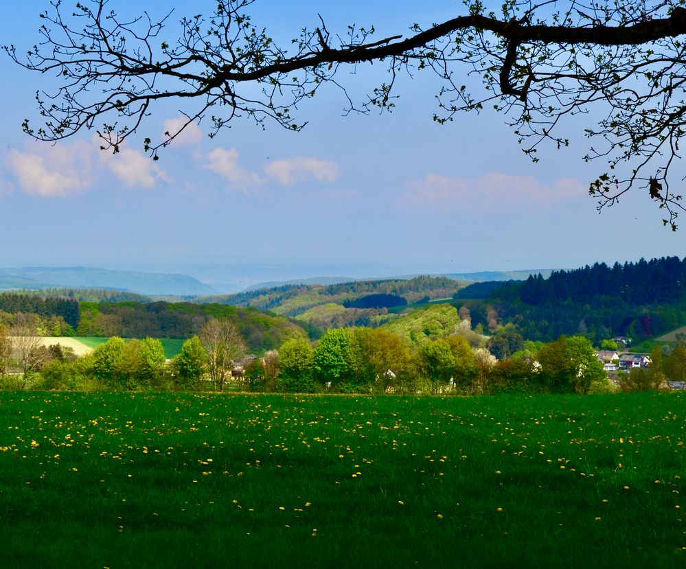 Frohe Pfingsten Foto & Bild | deutschland, europe, rheinland-pfalz ...