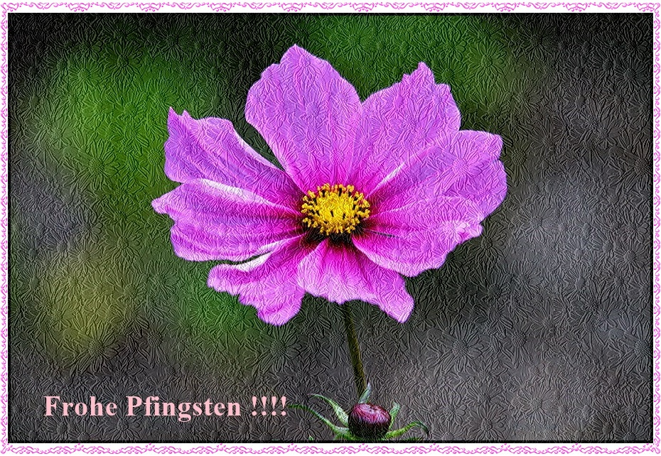 * Frohe Pfingsten * Foto & Bild | art, spezial, digiart Bilder auf ...