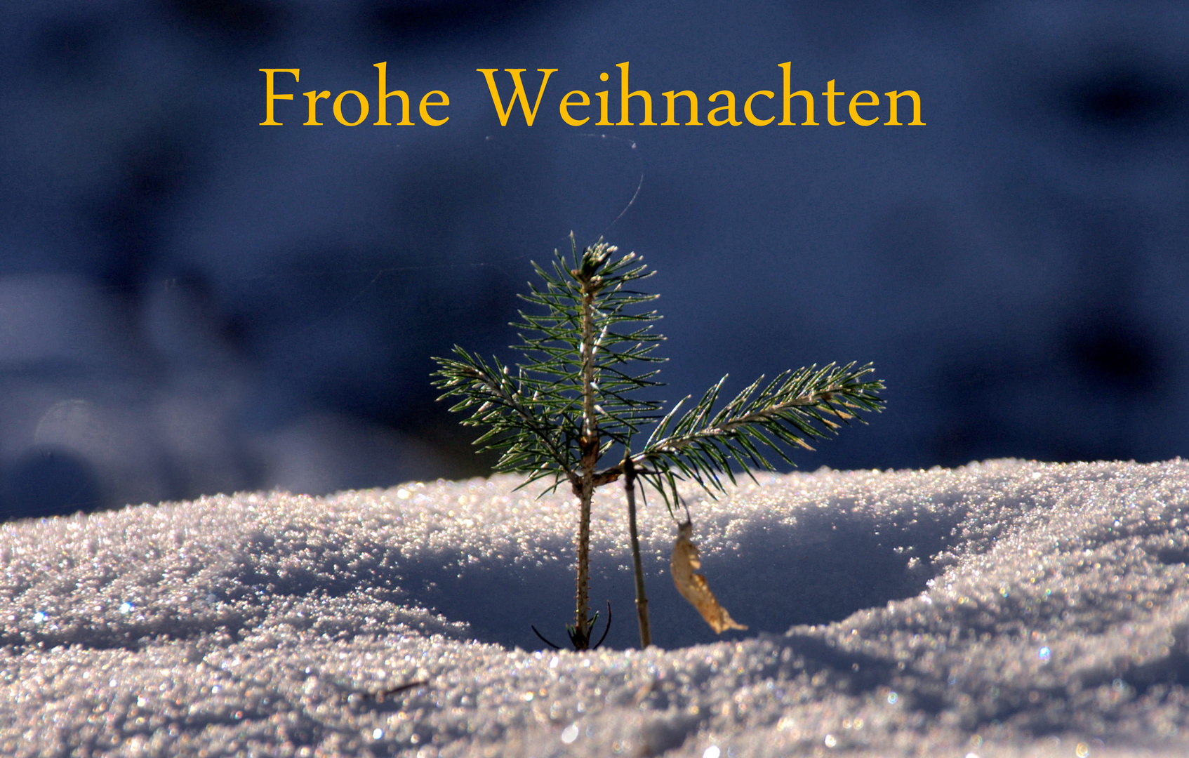 Frohe Weihnachten Gb Bilder 2025 - Liva Alethea Frohe Weihnachten Gb Bilder 2025 - Liva Alethea