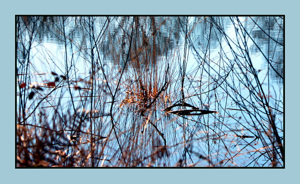 Froidure Incandescente... photo et image | les saisons, hiver, campagne ...
