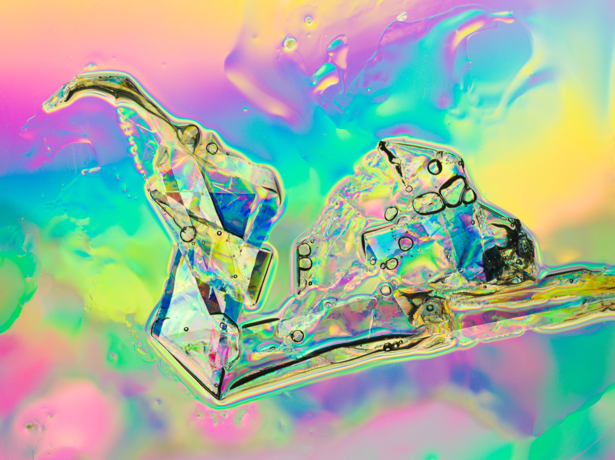 from the photo series: The beautiful & the fragile Foto & Bild | nah ...