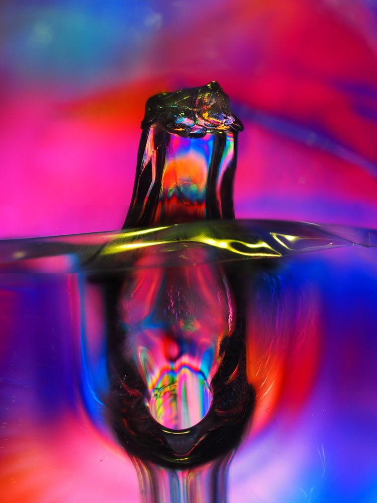 from the photo series: The beautiful & the fragile Foto & Bild | color ...