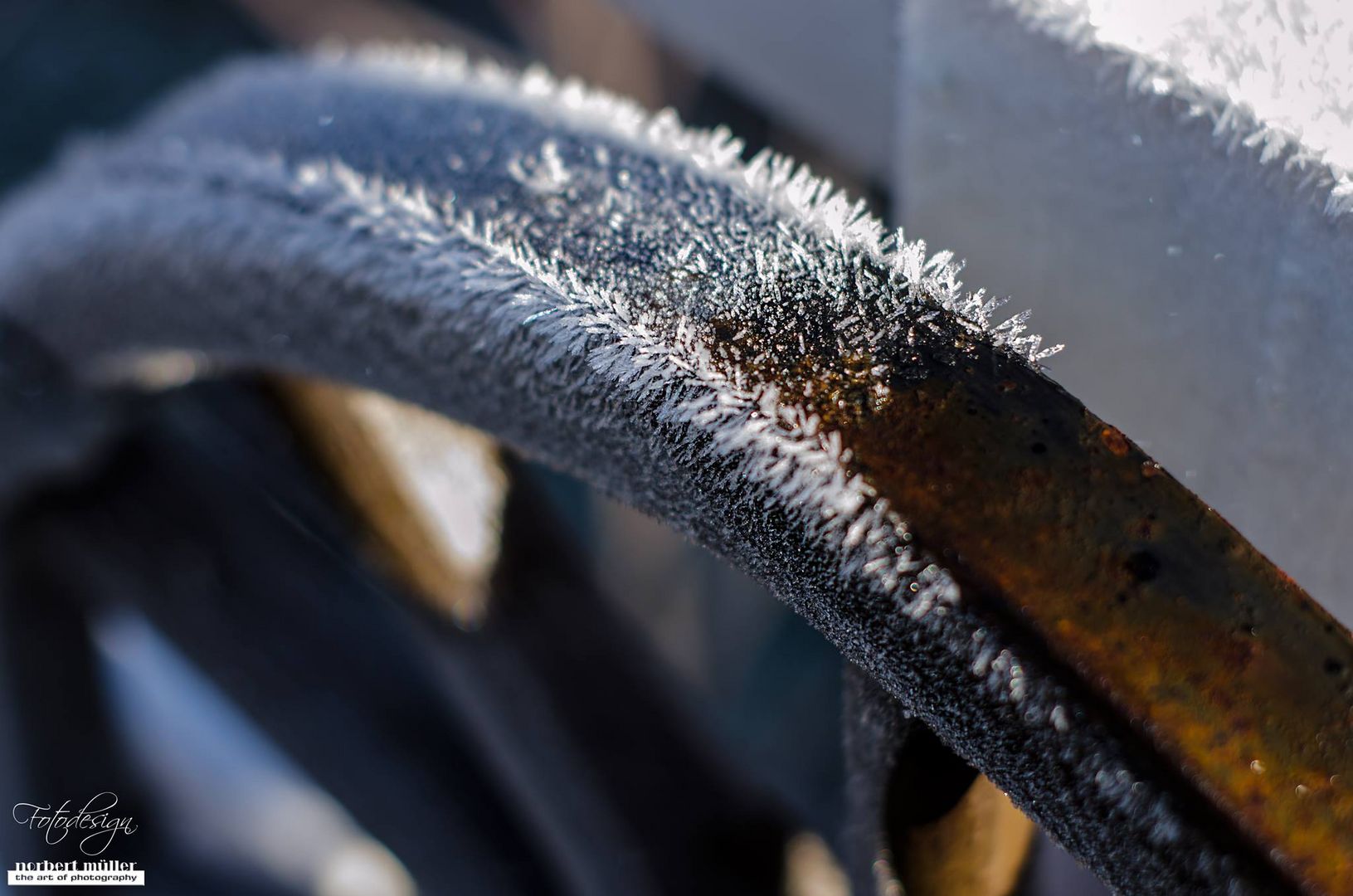 Frost Foto & Bild | kalt, winter, schnee Bilder auf fotocommunity