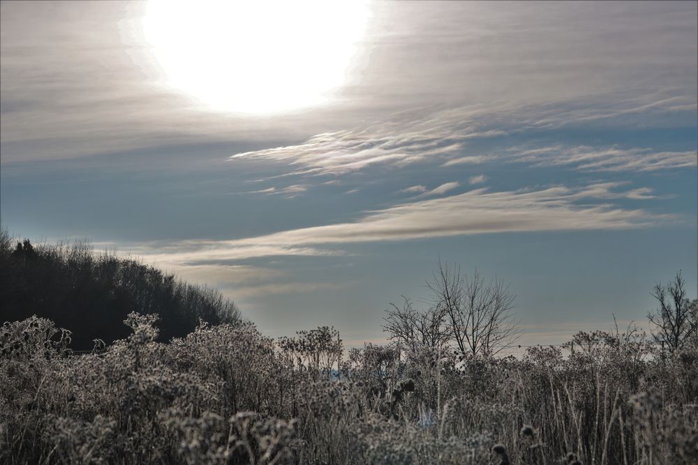 Frost Foto & Bild | jahreszeiten, winter, natur Bilder auf fotocommunity