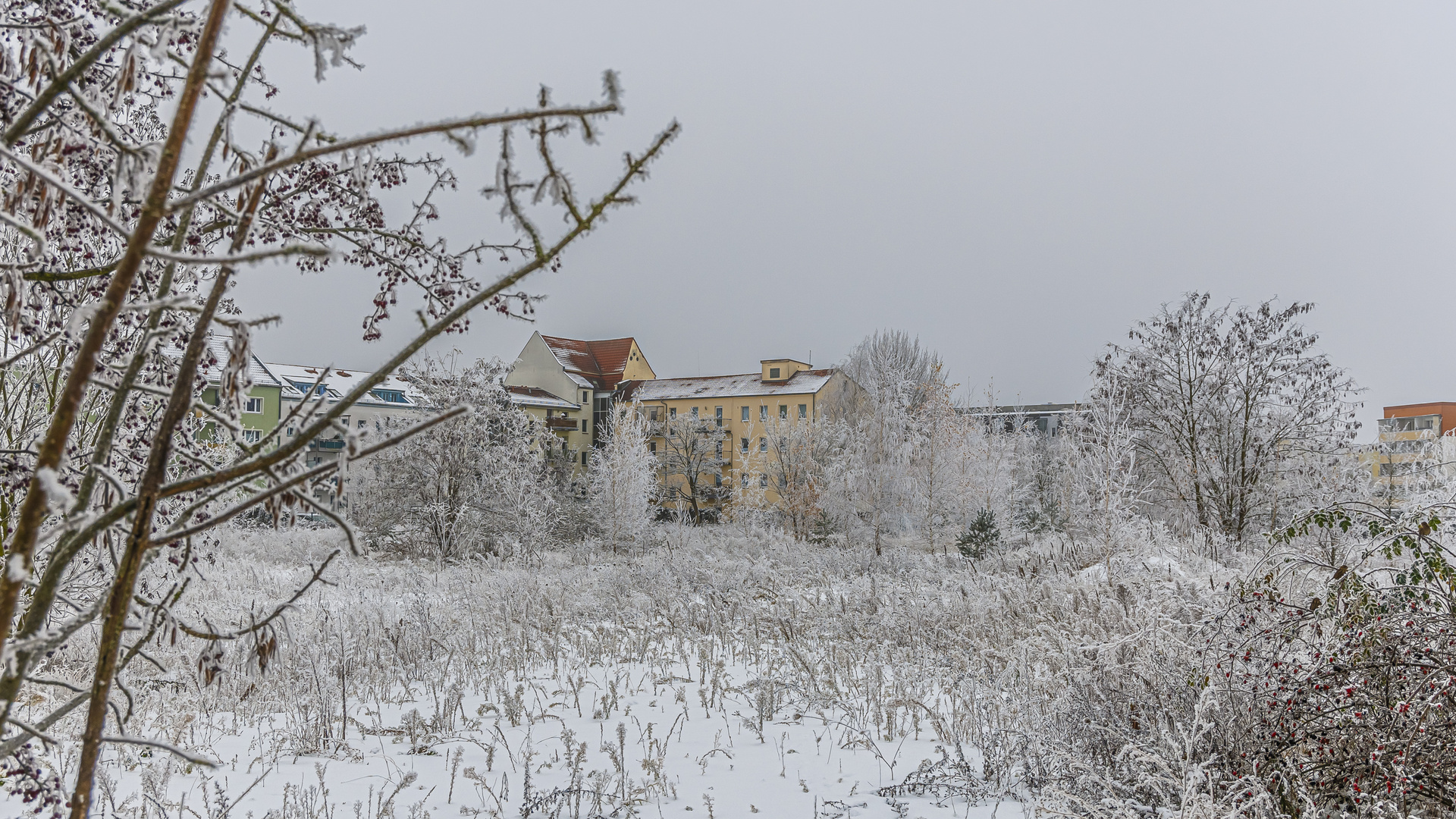 Frost IV Foto & Bild | jahreszeiten, winter, projekte Bilder auf fotocommunity