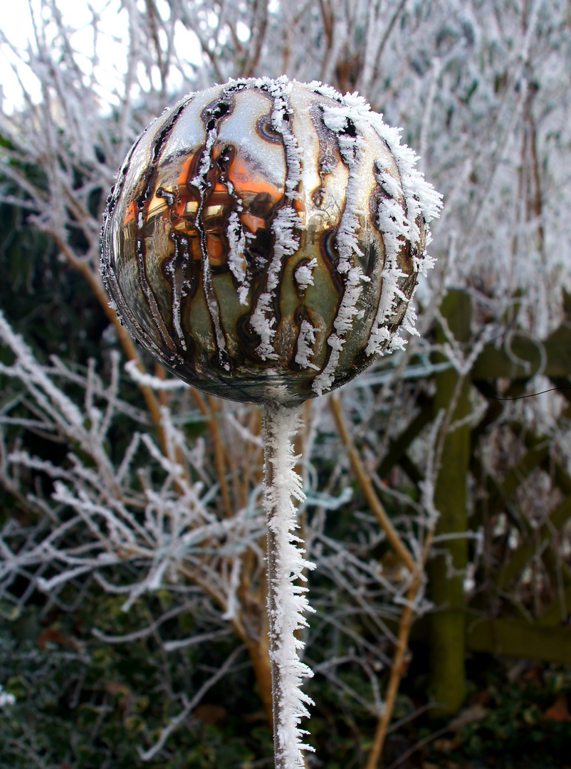 Frostdesign Foto & Bild | natur Bilder auf fotocommunity