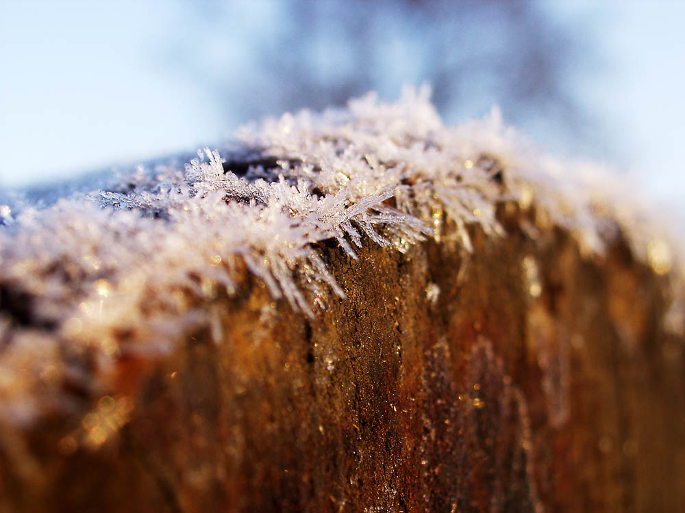 Frostig ... Foto & Bild | industrie und technik, technik-details ...