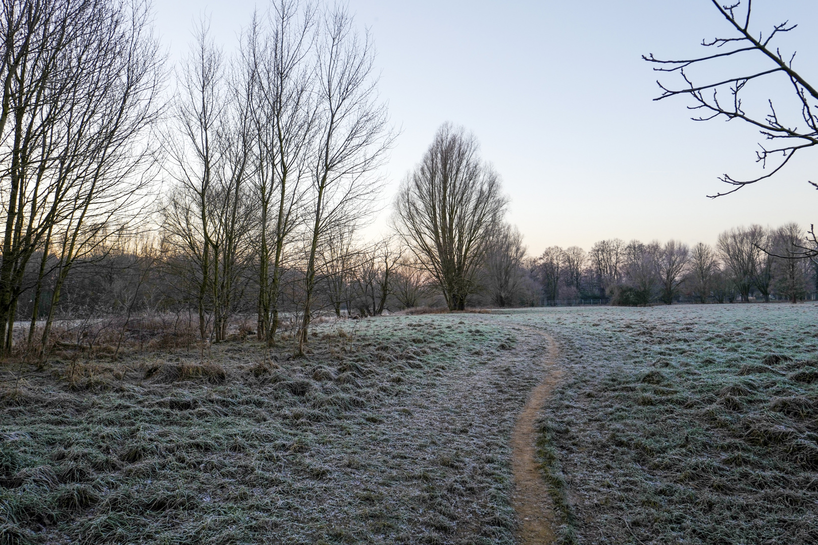 Frostig ! Foto & Bild | winter, natur, landschaft Bilder auf fotocommunity