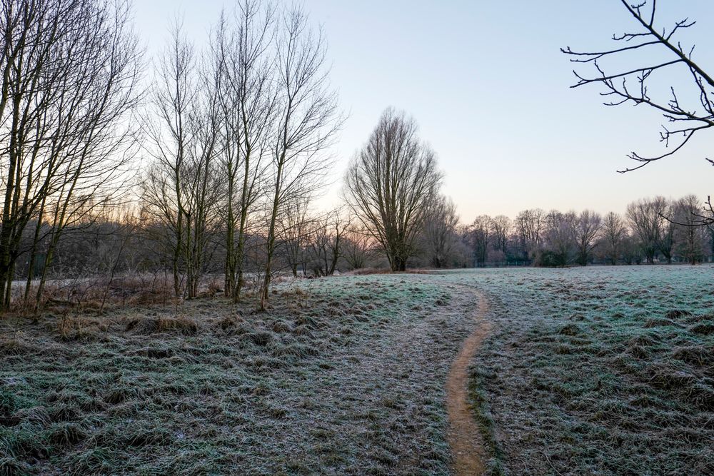 Frostig ! Foto & Bild | winter, natur, landschaft Bilder auf fotocommunity