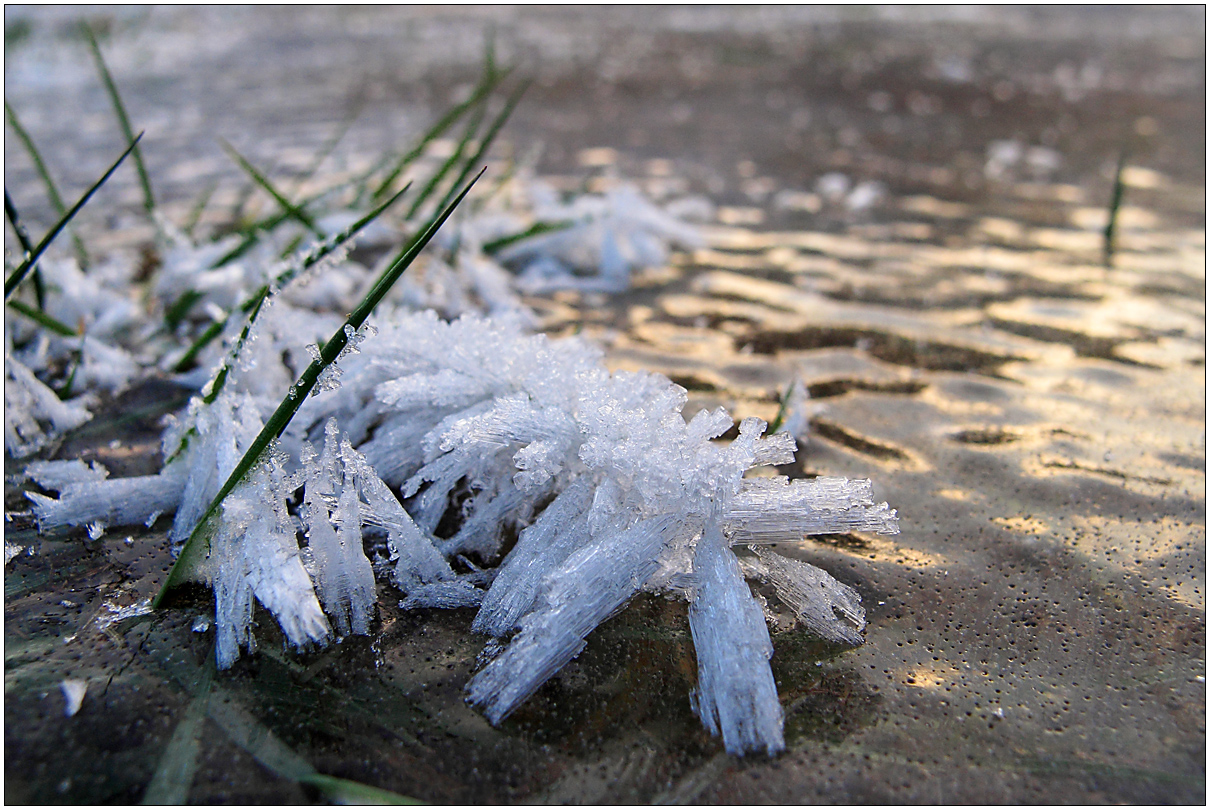 Frostig Foto & Bild | world, gefroren, kalt Bilder auf fotocommunity