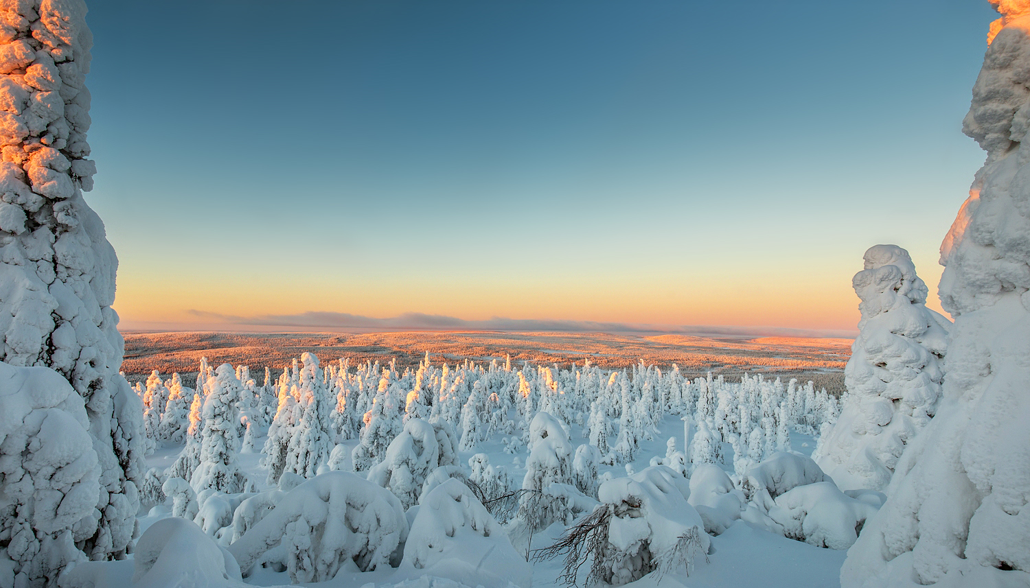 Frostig Foto & Bild | landschaft, jahreszeiten, winter Bilder auf ...