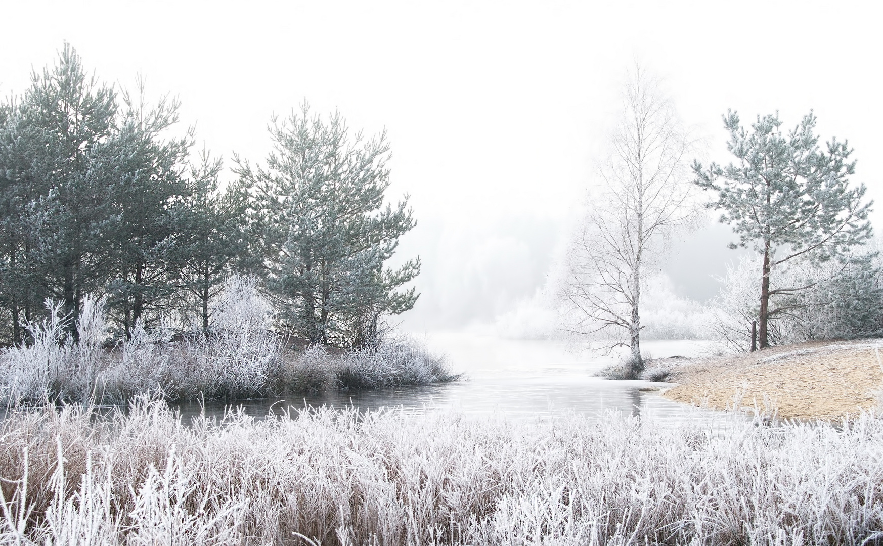 °Frostig° Foto & Bild | landschaft, fotos, winter Bilder auf fotocommunity