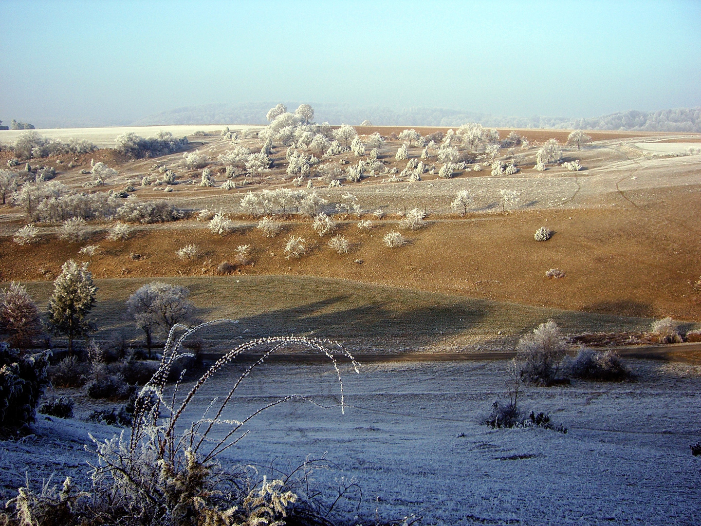 Frostig Foto & Bild | landschaft, jahreszeiten, winter Bilder auf ...