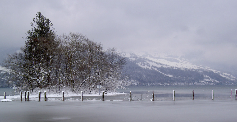 Frostig Foto & Bild | jahreszeiten, winter, natur Bilder auf fotocommunity