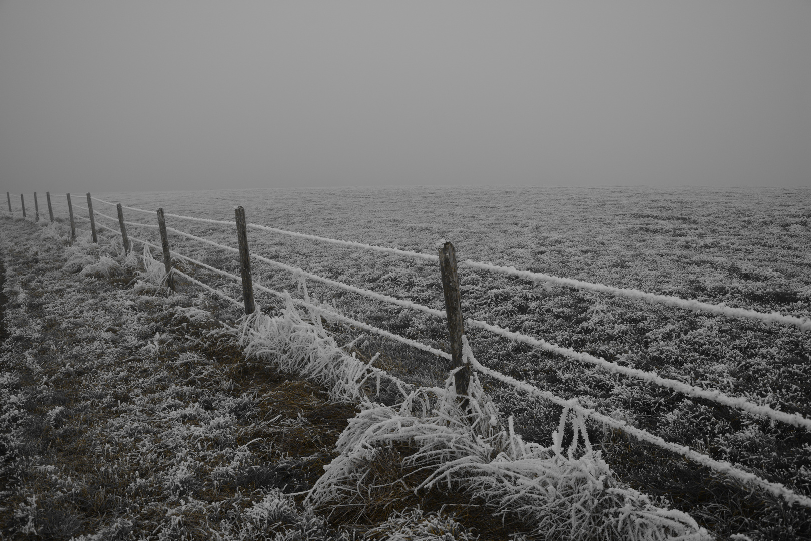 Frostig Foto & Bild | winter, natur, landschaft Bilder auf fotocommunity