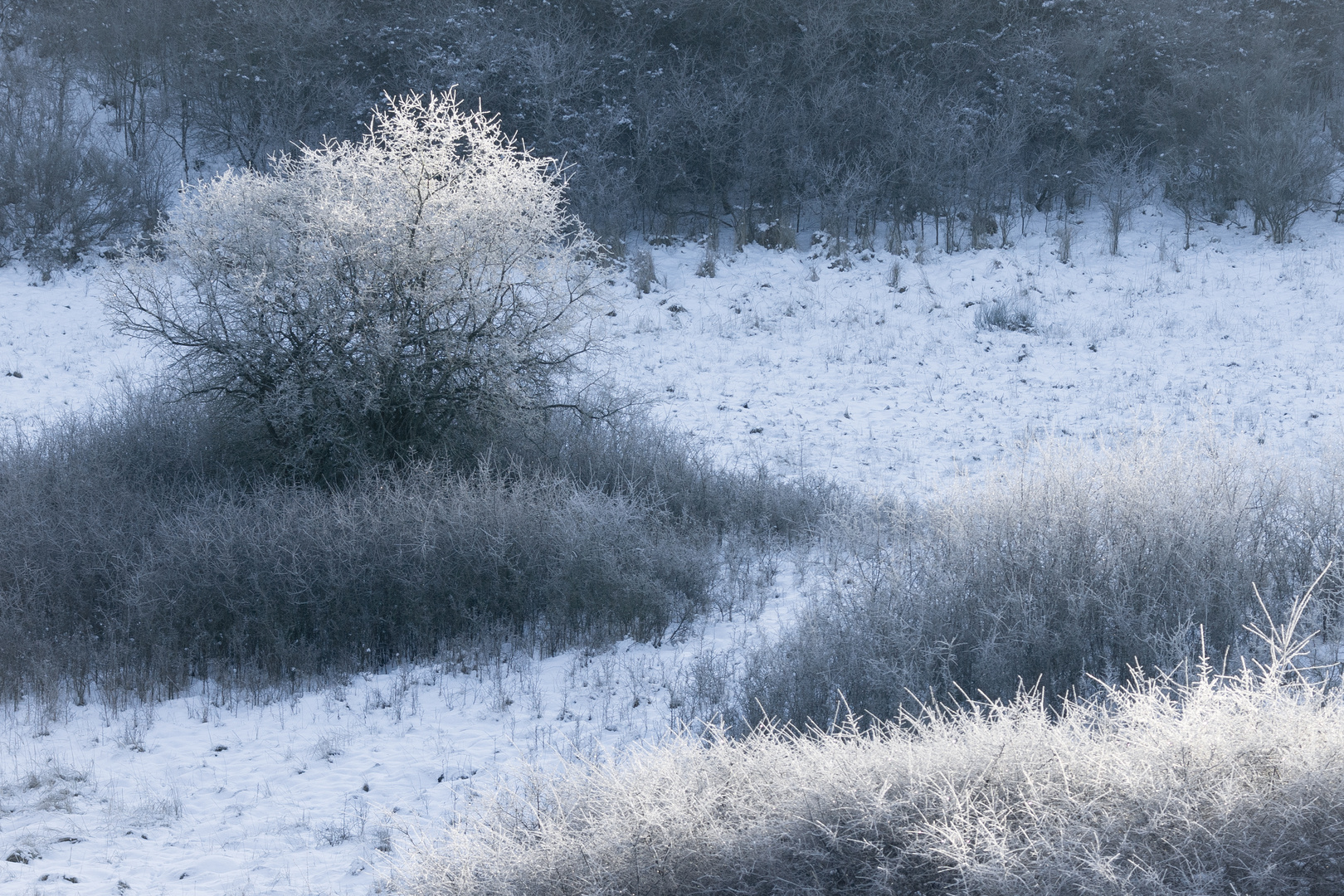 frostig Foto & Bild | februar, sonnenaufgang, winter Bilder auf ...