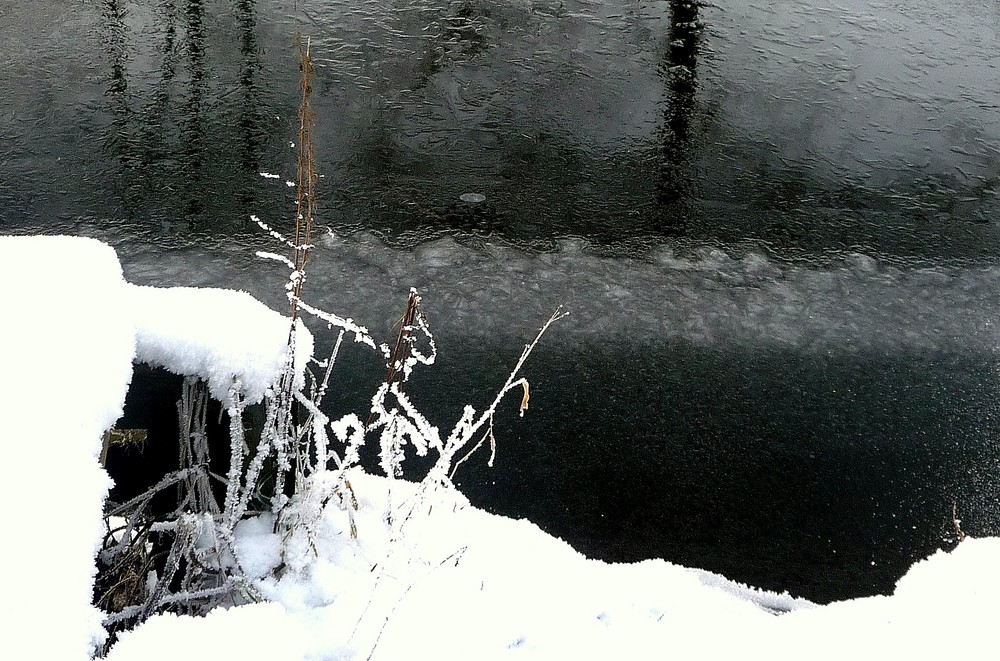 Frostig Foto & Bild | jahreszeiten, winter, niederrhein Bilder auf ...