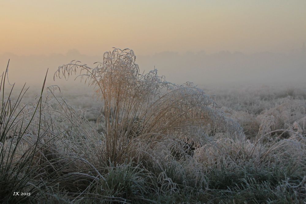 ---frostig--- Foto & Bild | jahreszeiten, winter, natur Bilder auf ...