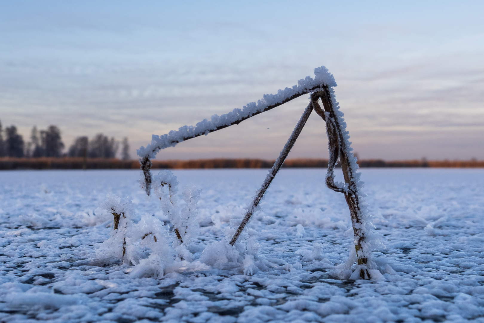 Frostig Foto & Bild | world, winter, brandenburg Bilder auf fotocommunity