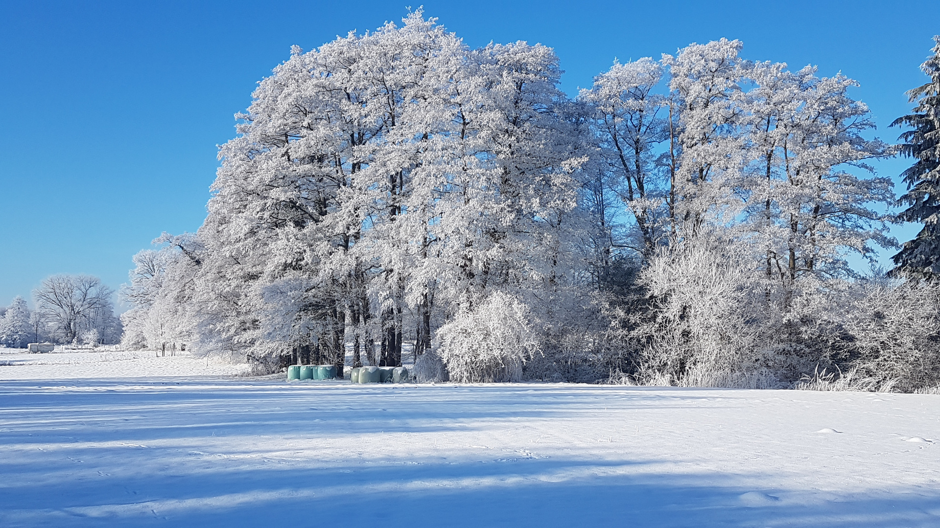 Frostig Foto & Bild | outdoor, sonne, winter Bilder auf fotocommunity