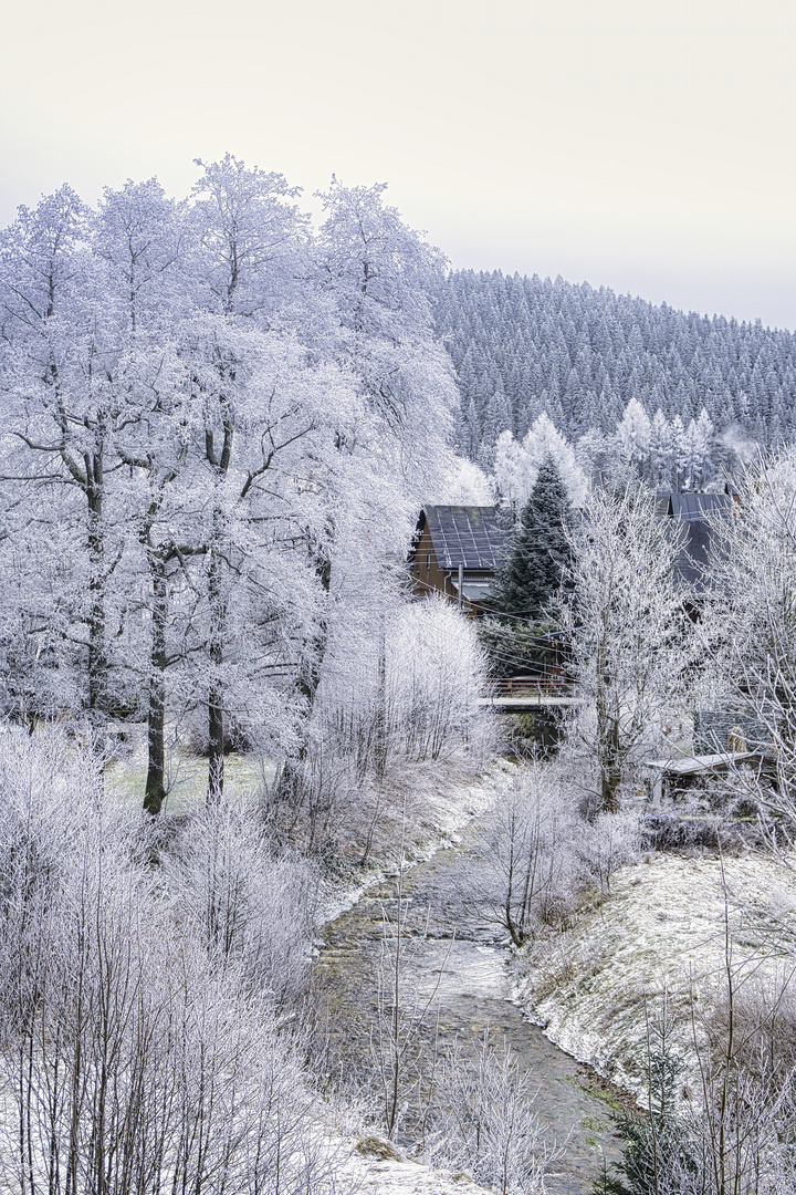 -frostig- Foto & Bild | deutschland, europe, sachsen Bilder auf ...