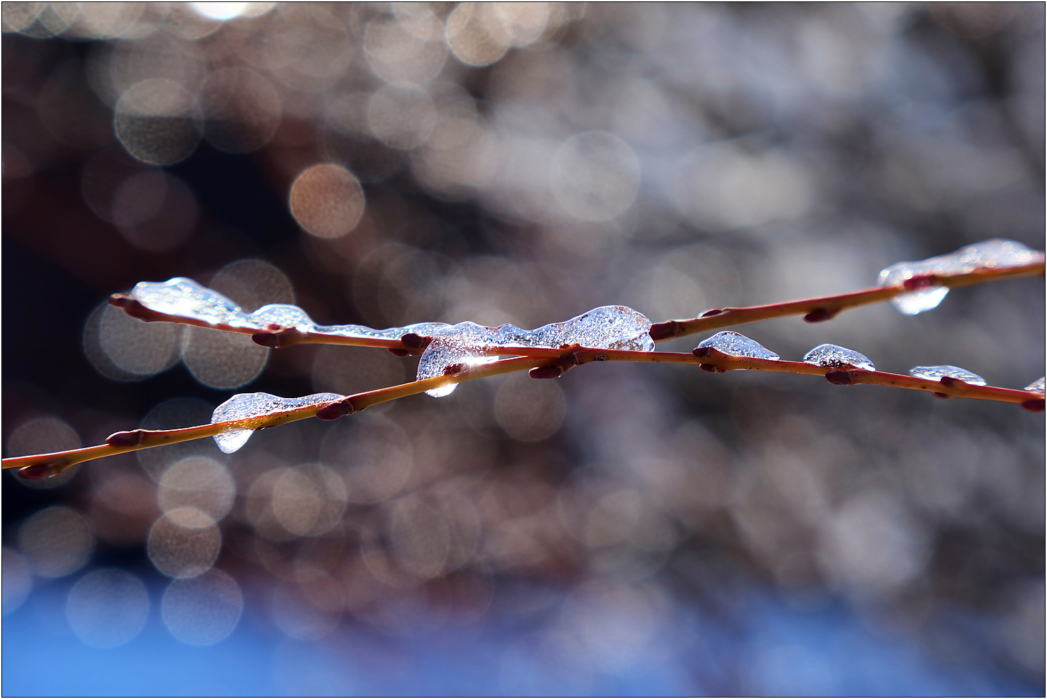 Frostig... Foto & Bild | deutschland, europe, sachsen Bilder auf ...