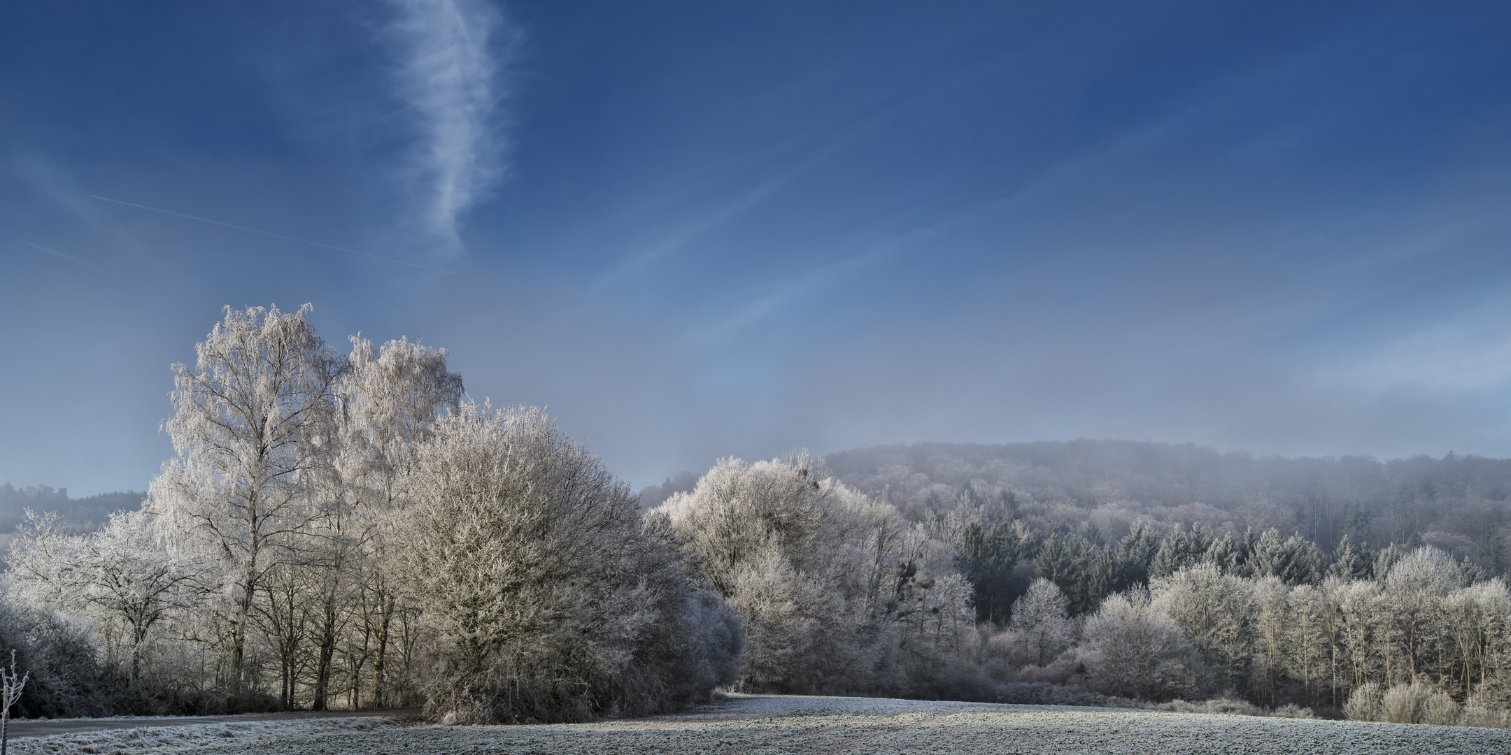 frostig II Foto & Bild | landschaft, jahreszeiten, winter Bilder auf ...