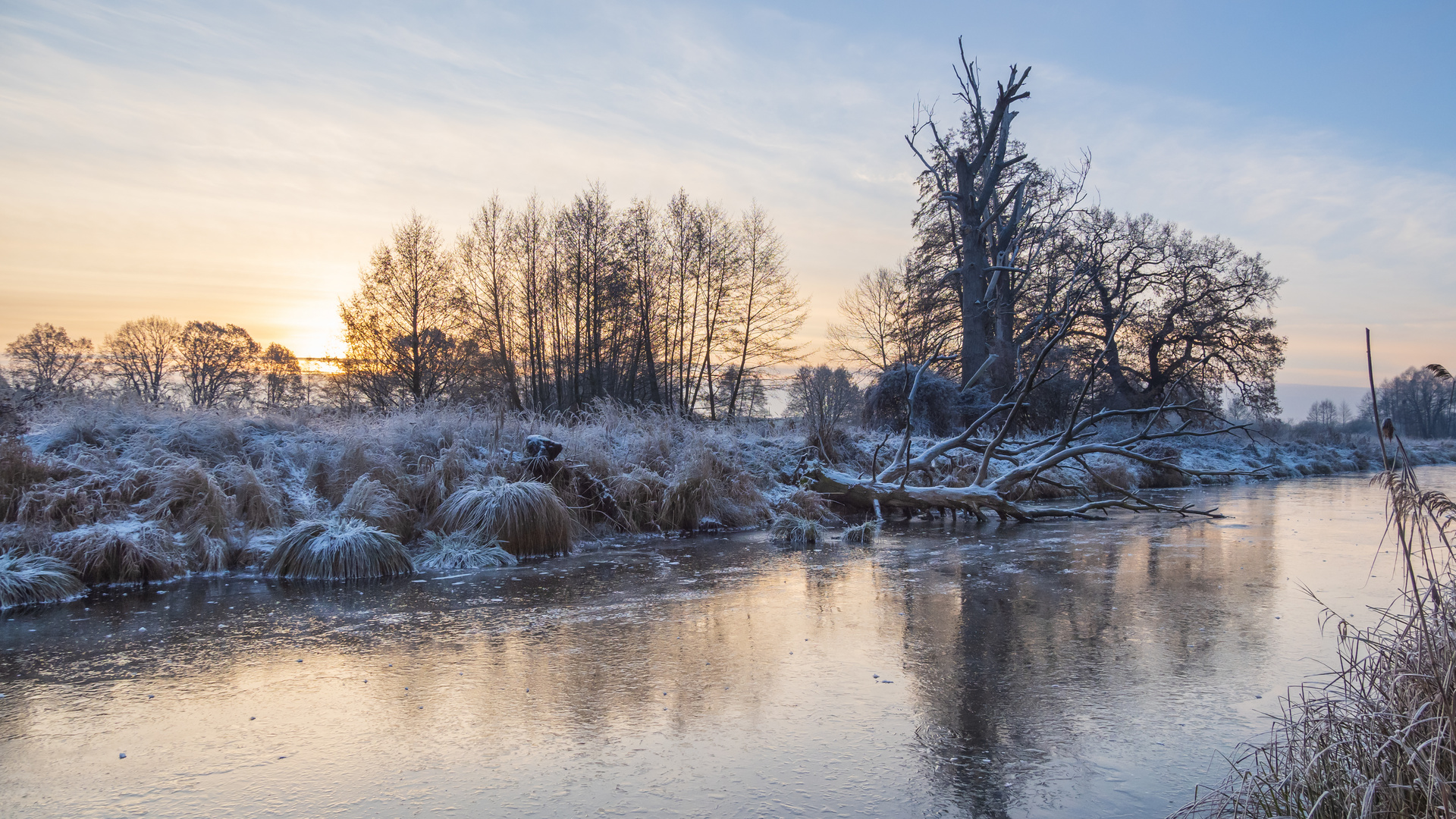 Frostig ist es in Brandenburg Foto & Bild | deutschland, europe ...