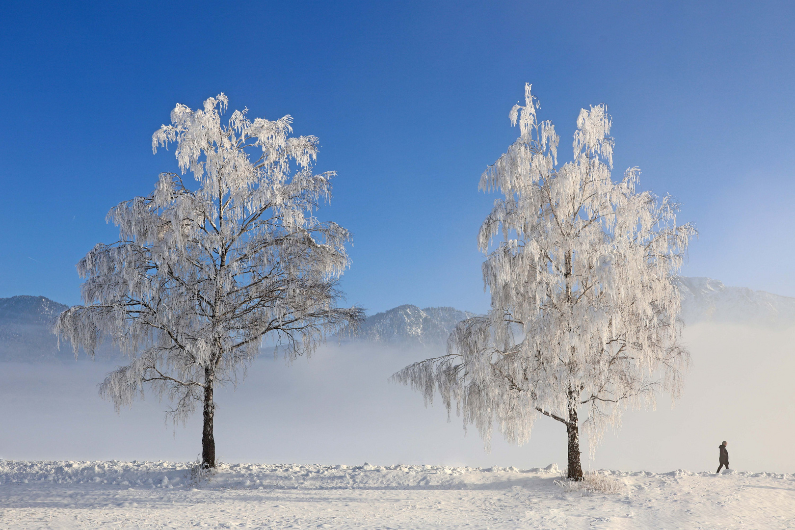 Frostig kalt... Foto & Bild | deutschland, europe, bayern Bilder auf fotocommunity