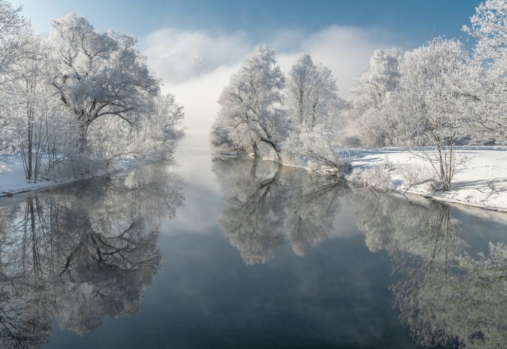 FROZEN +++ Foto & Bild | jahreszeiten, winter, jahreszeit Bilder auf fotocommunity