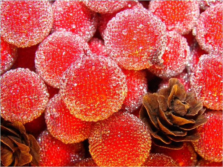 Frozen Balls Foto & Bild | stillleben, tabletop, motive Bilder auf ...