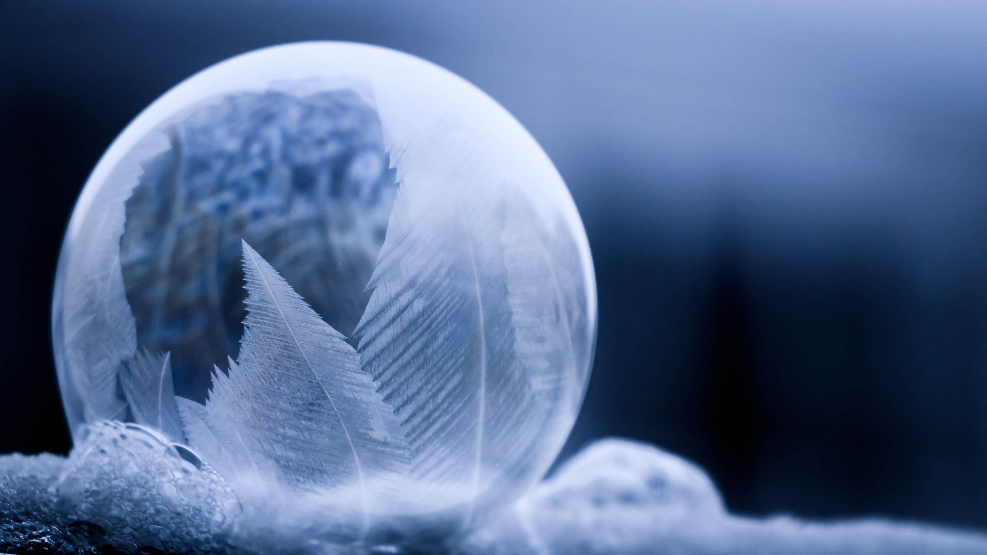Frozen Bubble Foto & Bild | natur-makros, natur-kreativ ...