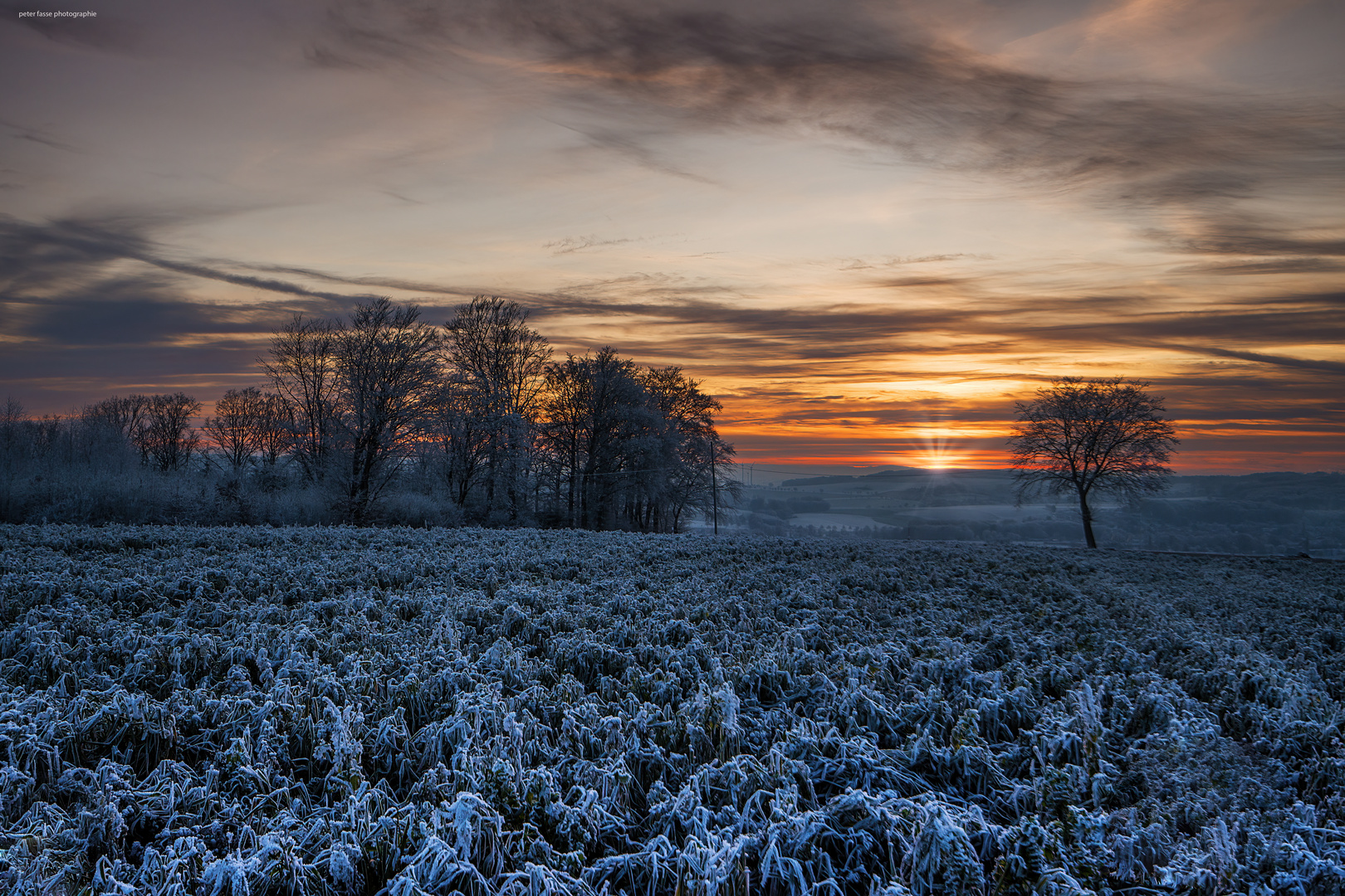 frozen field Foto & Bild | landschaft, jahreszeiten, sonnenuntergänge ...