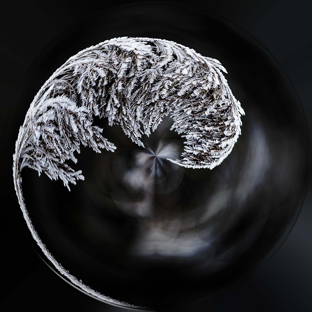 Frozen nature Foto & Bild | art, natur, digiart Bilder auf fotocommunity