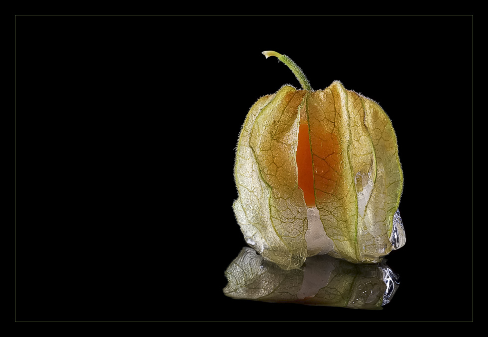 frozen physalis [making of] Foto & Bild | stillleben, food-fotografie ...