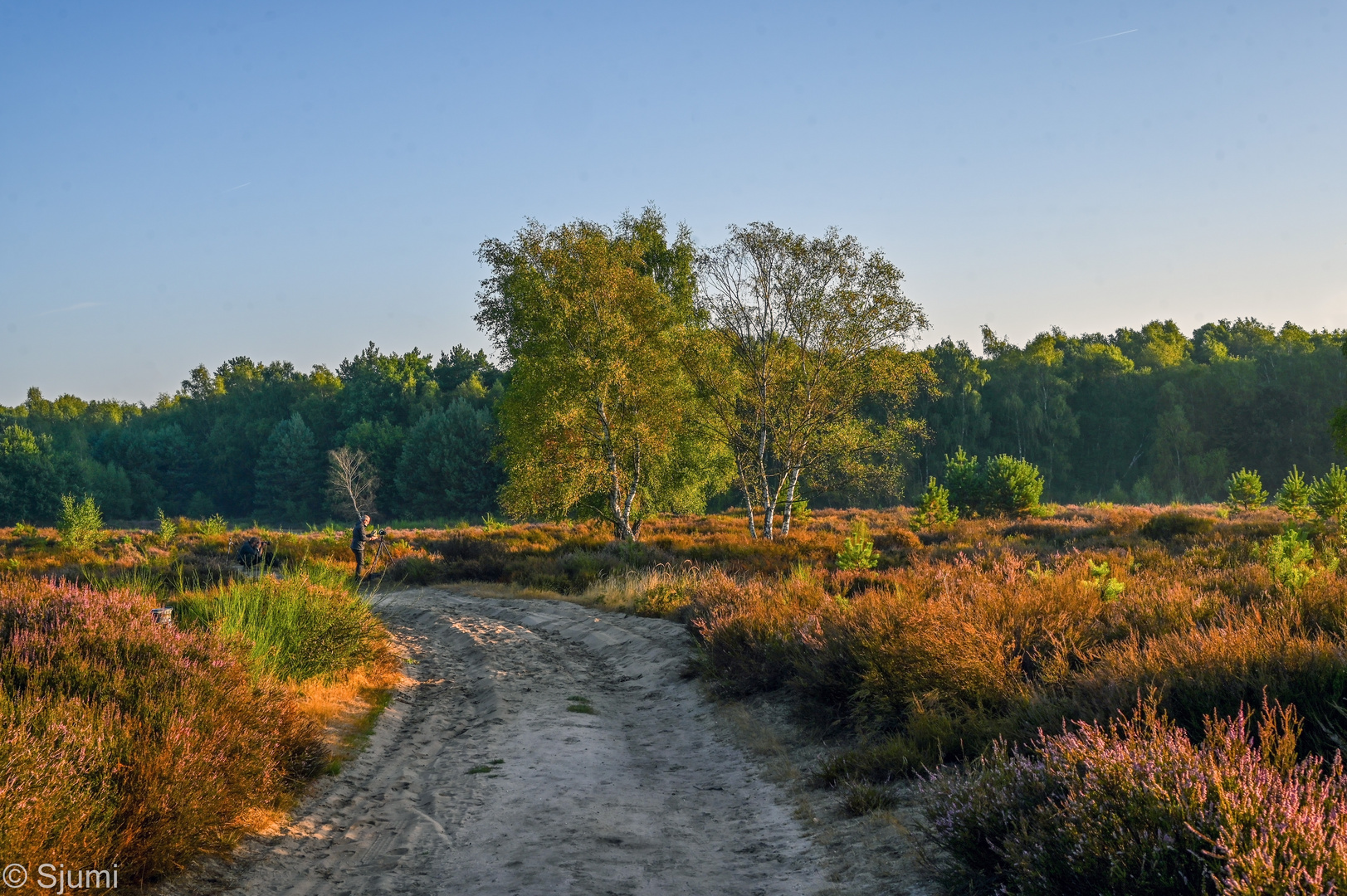 Früh am Morgen Foto & Bild | sommer, weg, sand Bilder auf fotocommunity