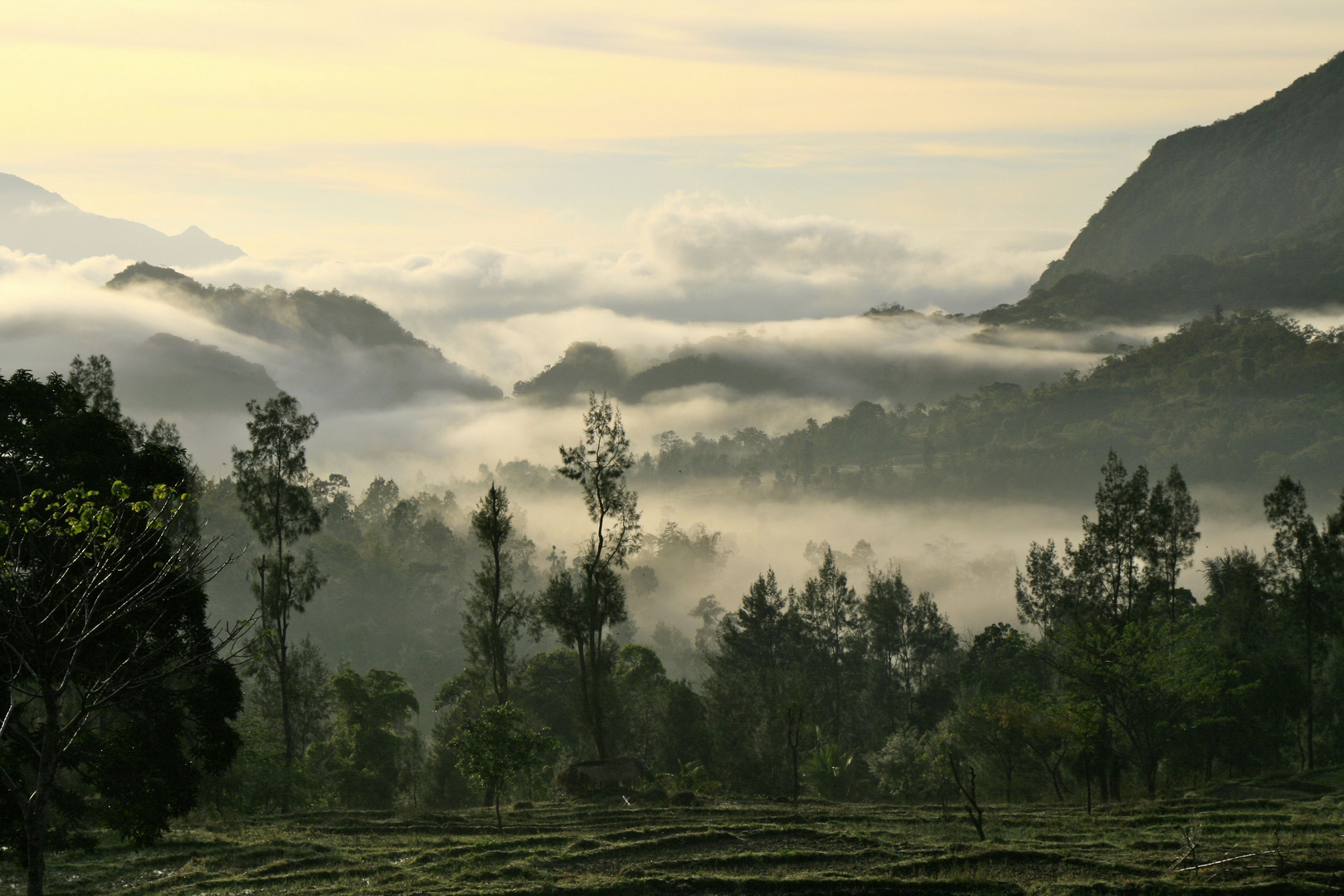 früh morgens in der nähe von natarbora - osttimor Foto & Bild | asia ...