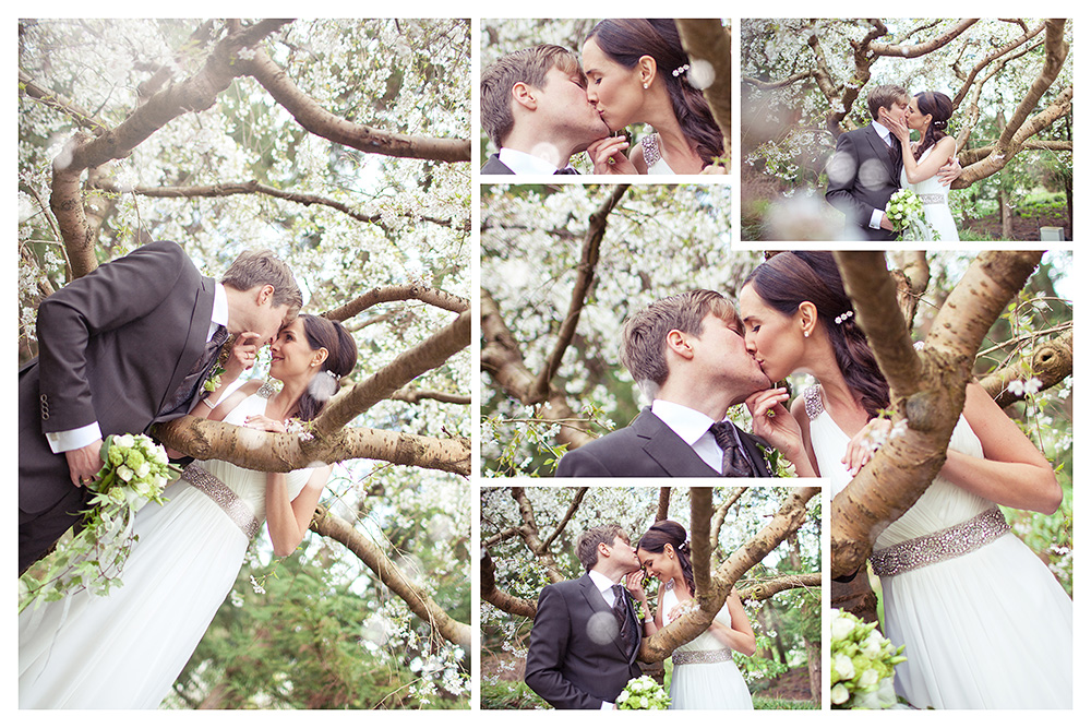 Frühblüher Foto & Bild | hochzeit, collagen, hochzeiten Bilder auf fotocommunity