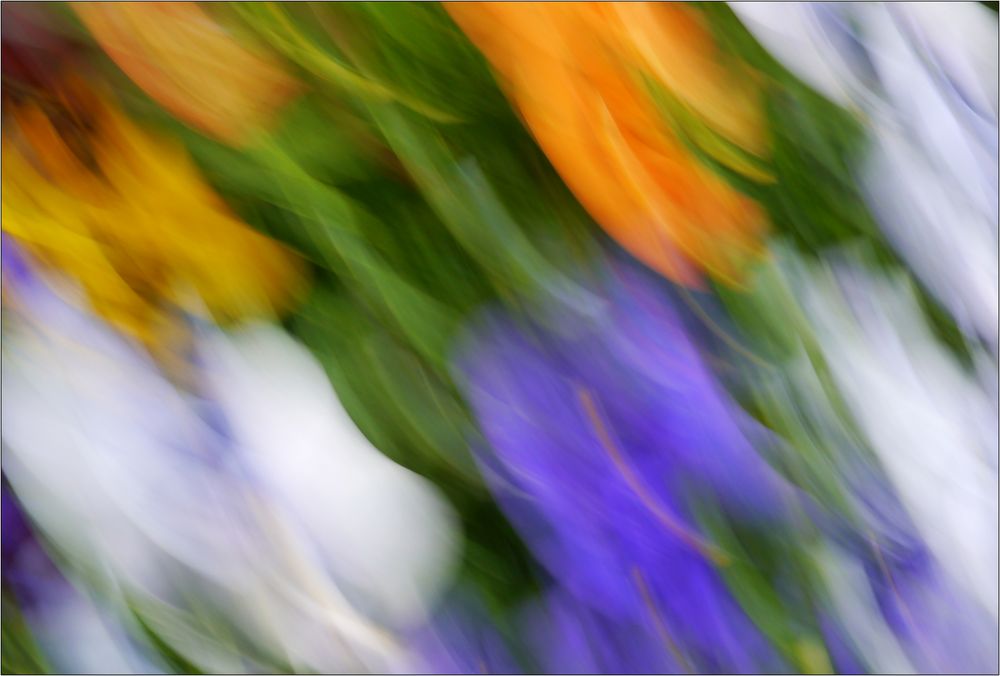 Frühling Foto & Bild | experimente, projekte, natur-kreativ Bilder auf fotocommunity