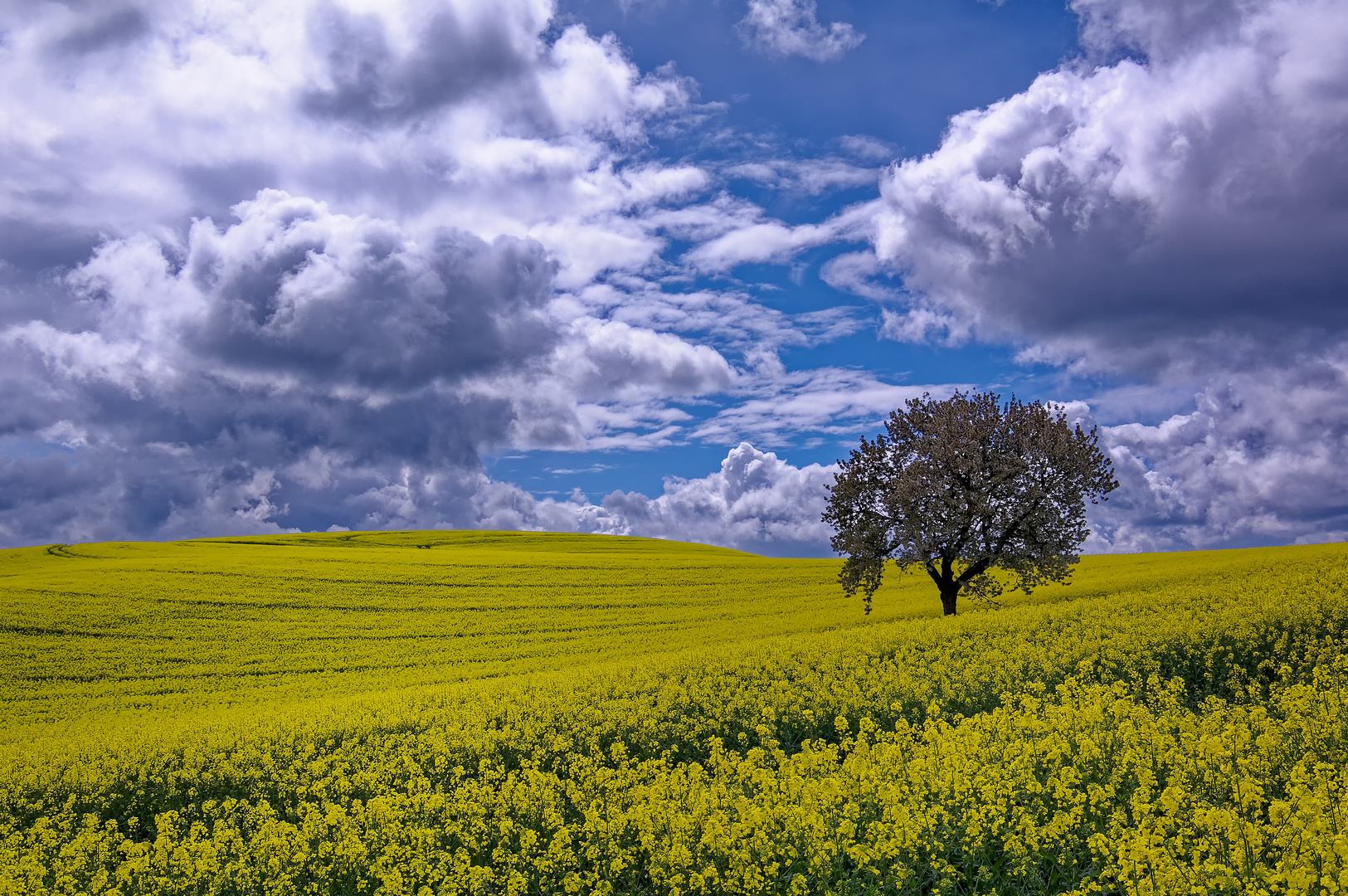 Frühling Foto & Bild | landschaft, jahreszeiten, himmel Bilder auf fotocommunity